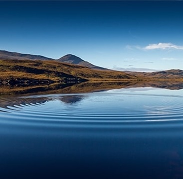 Customer Success Stories